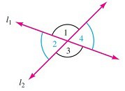 Identify the vertical angles in the following figure — Go Math Science