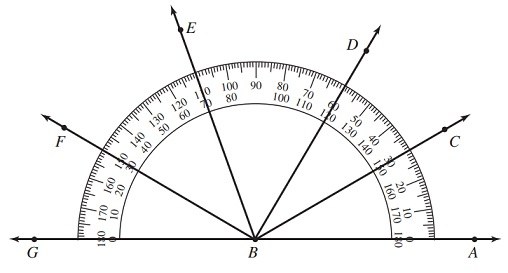 Use a protractor to measure angles — Go Math Science